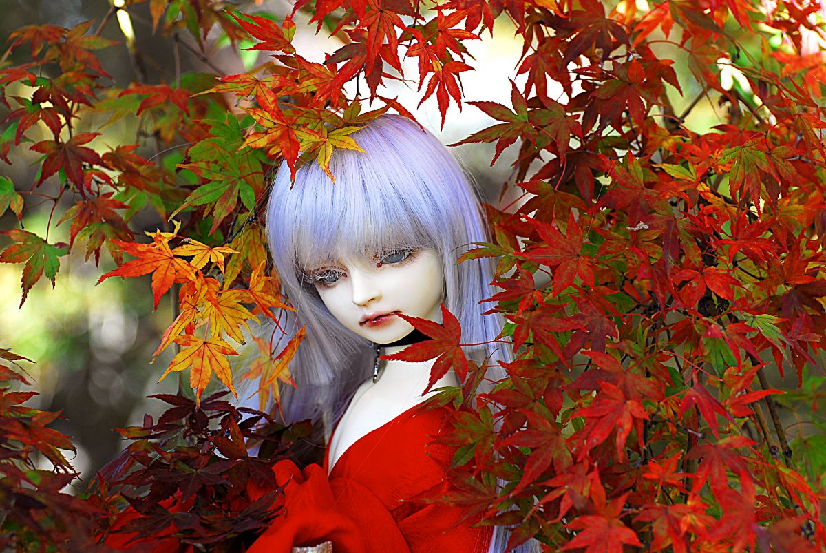 Fall in autumn | GANREF