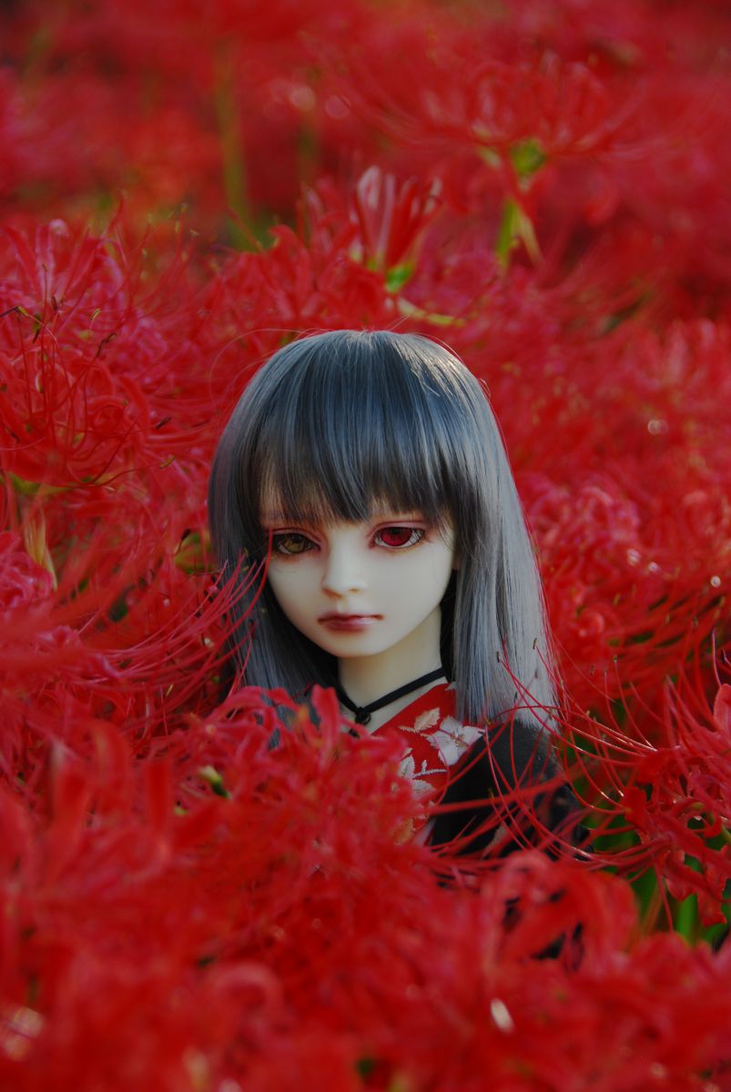 Red portrait | GANREF