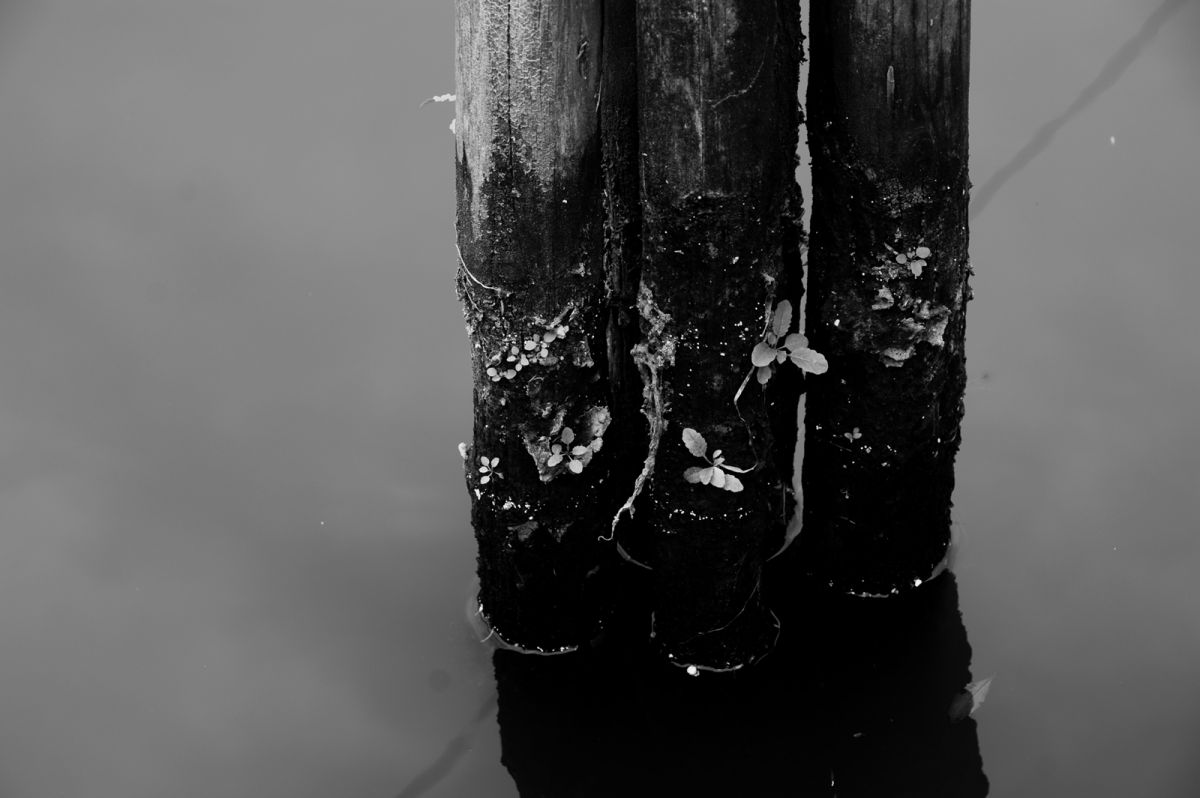 生きる scene1 | GANREF