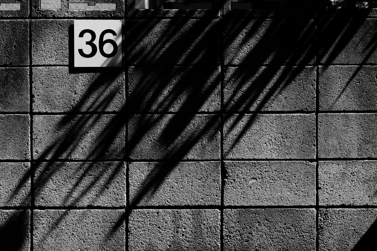 36 (another ver.) | GANREF