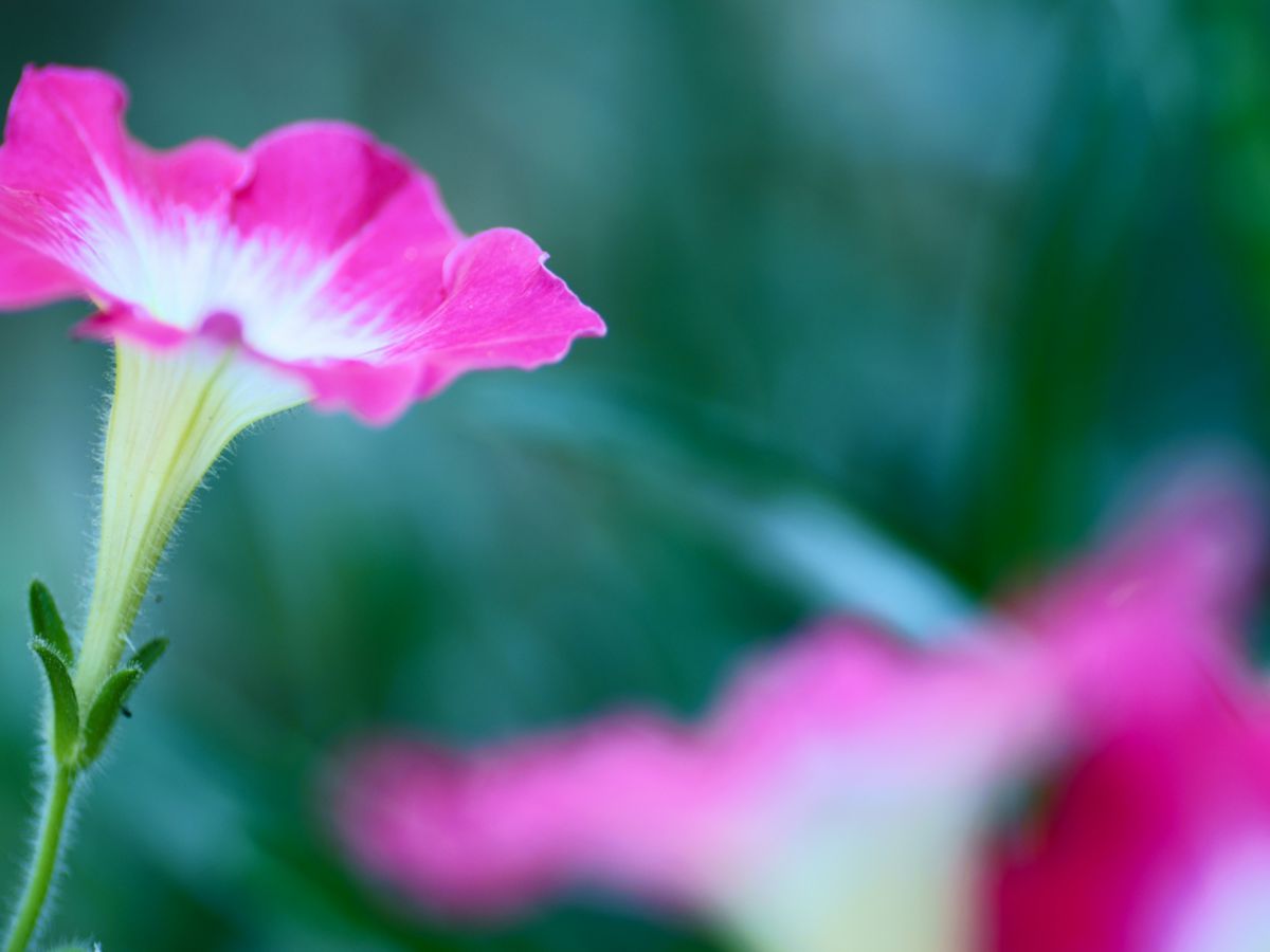 variations 6 | GANREF