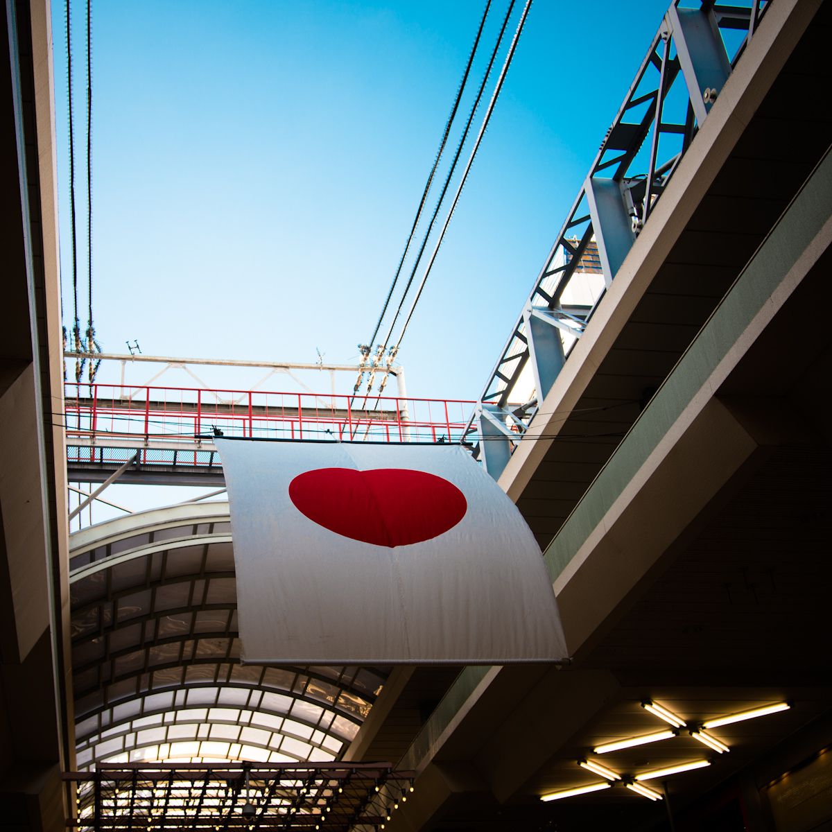 It's a brand new day. | GANREF