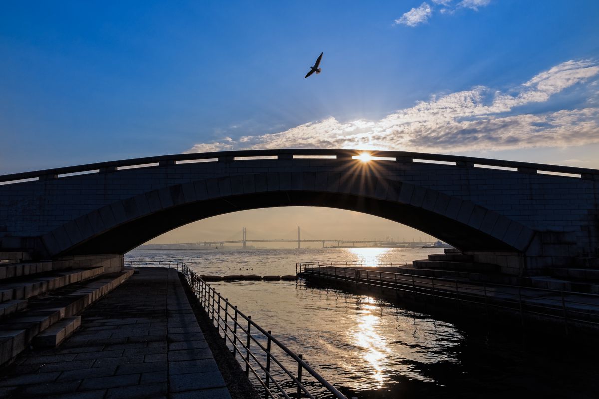 The bridge over bridge | GANREF