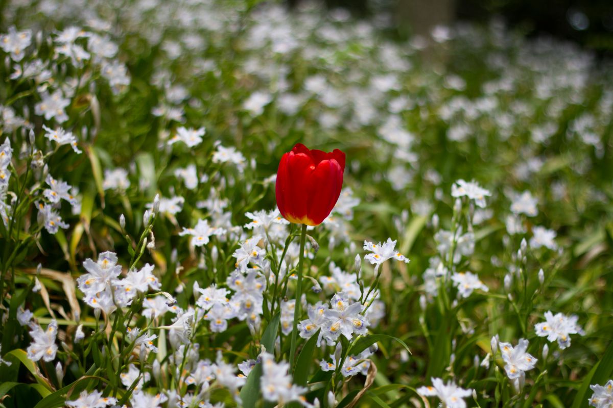 私だけ!? | GANREF