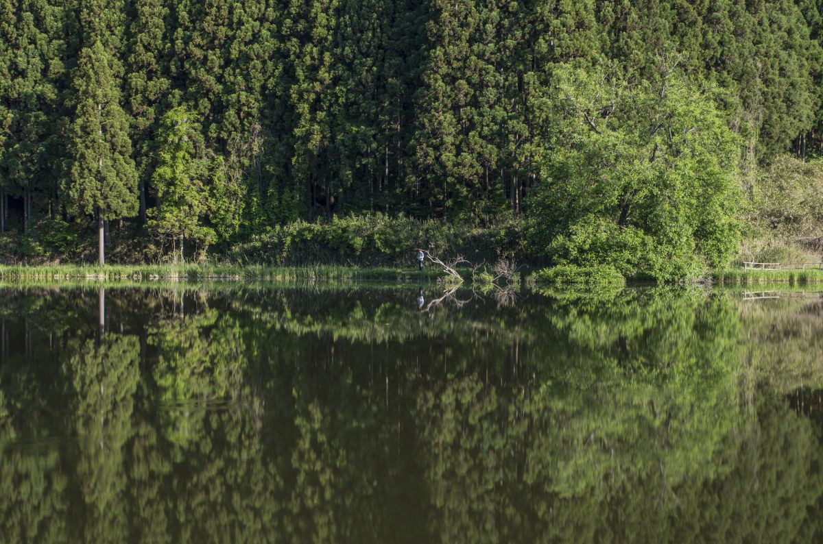 An angler appears | GANREF