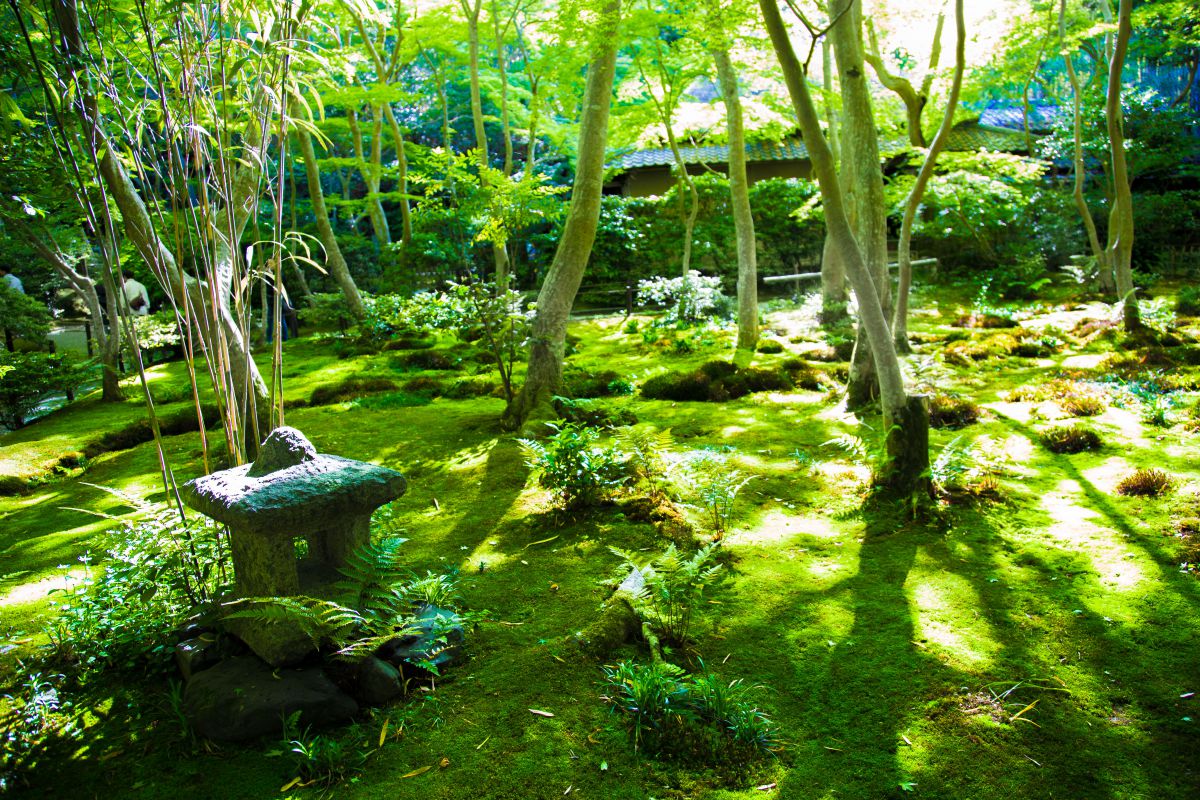 kyoto arashiyama | GANREF