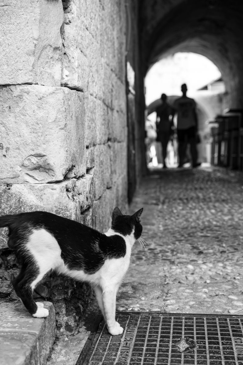 at the corner | GANREF