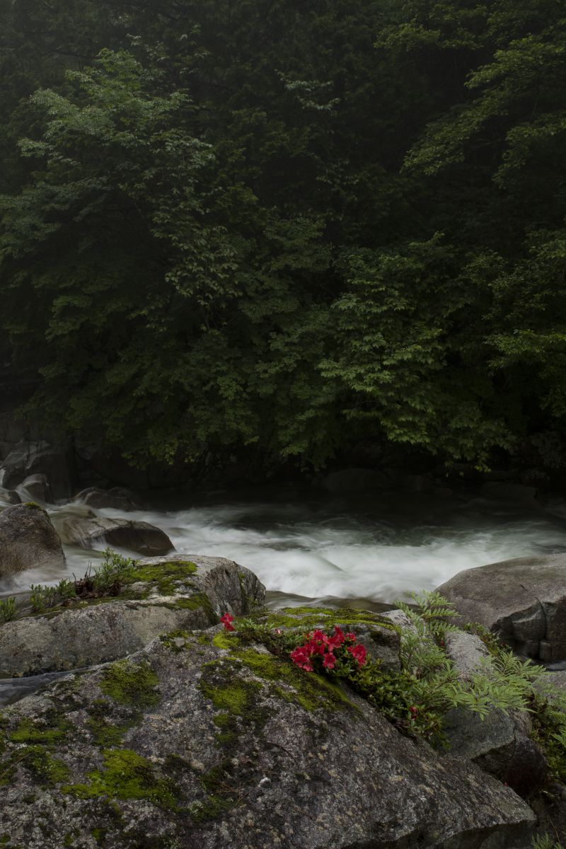 待ち侘びし | GANREF