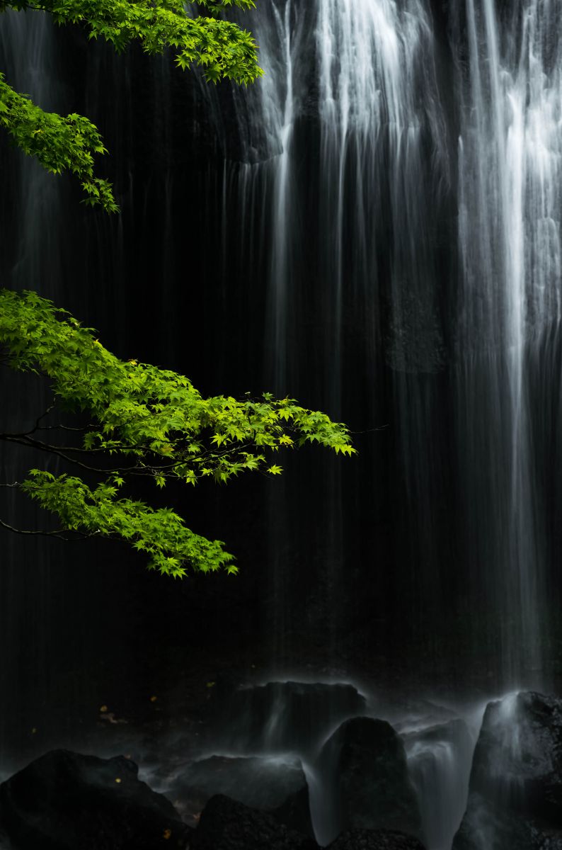 やわらかい風 | GANREF