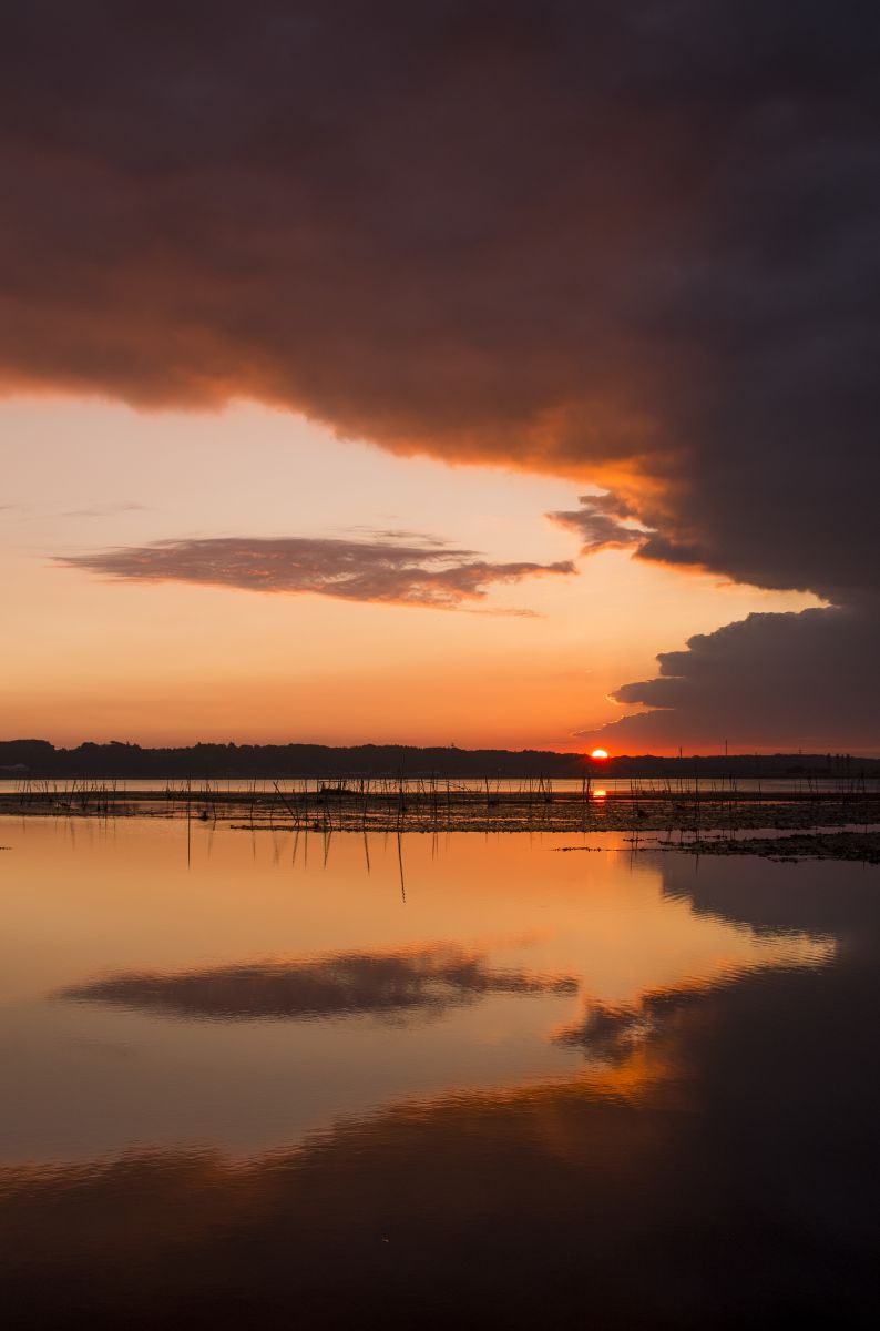 秋朝～INBA | GANREF