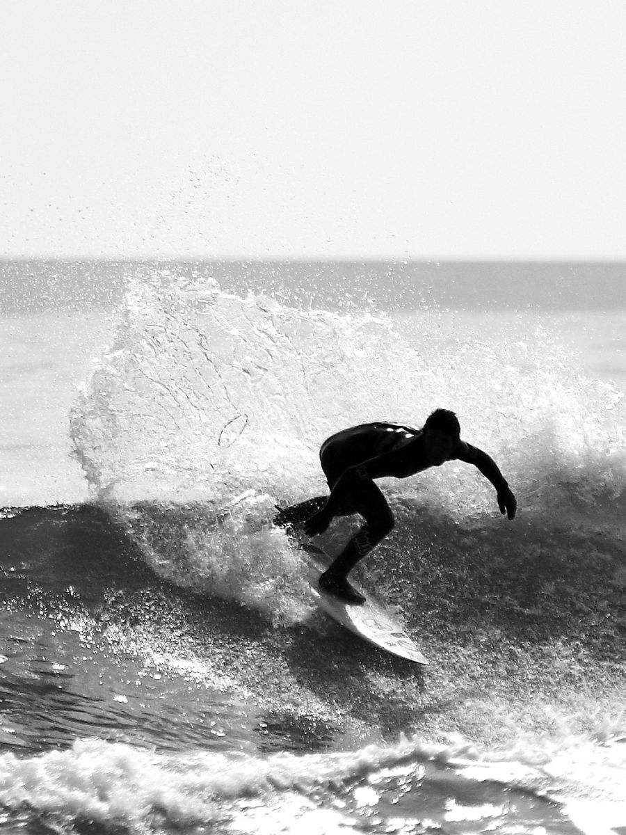 Off The Rip | GANREF