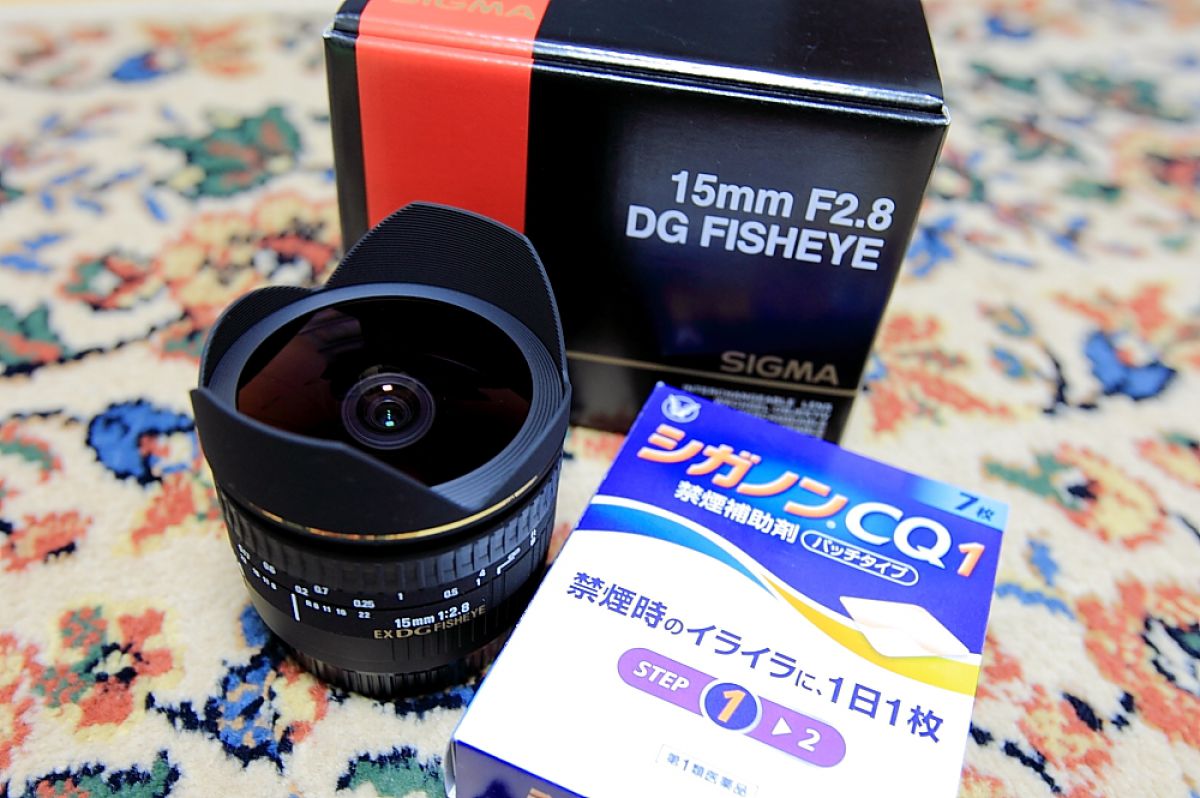 我慢できない ? | GANREF