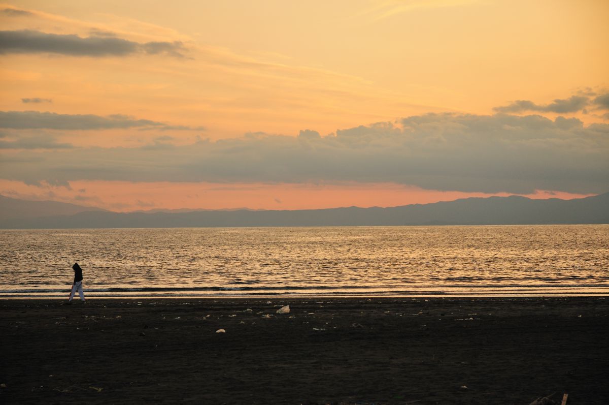 the stranger | GANREF