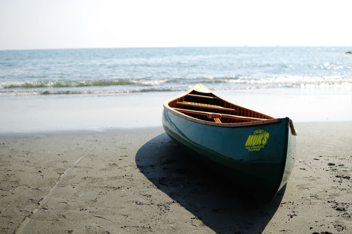 nothing but shape | GANREF