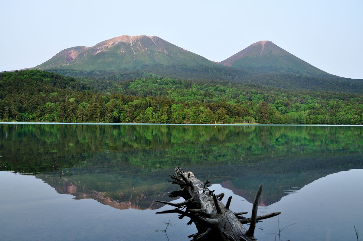 雌阿寒_041.JPG | GANREF