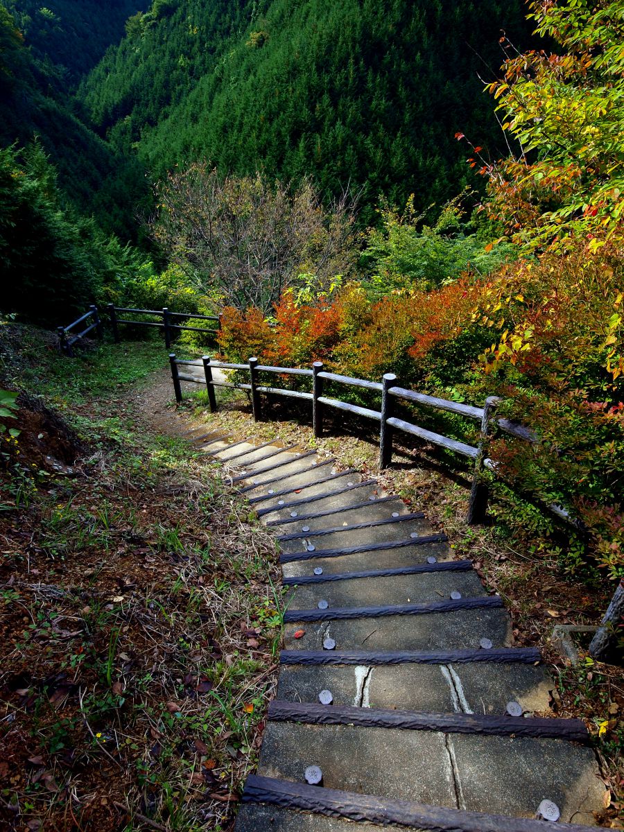 山道の秋 | GANREF