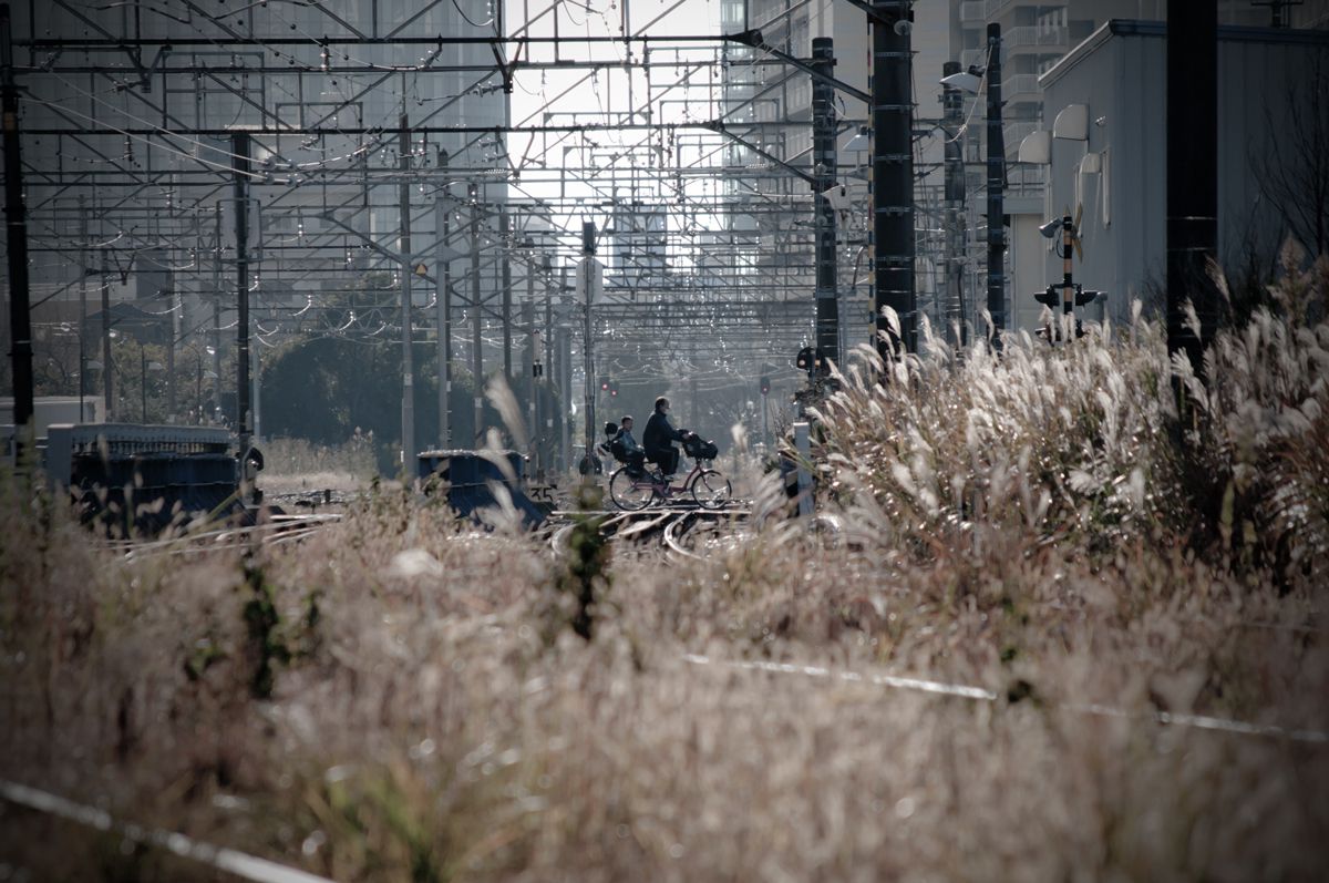 freight traffic line | GANREF