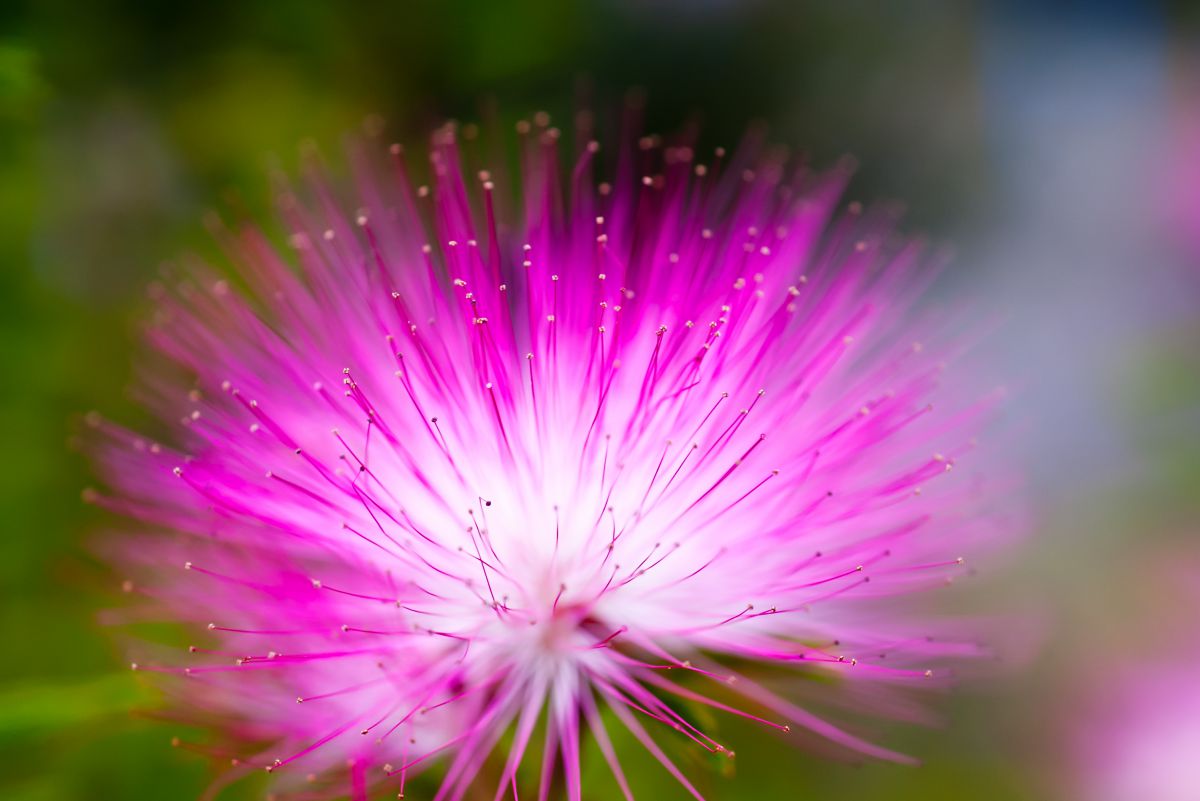 composition one | GANREF