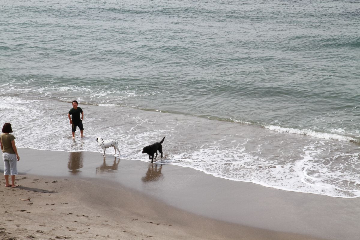 まだ冷たいよ | GANREF