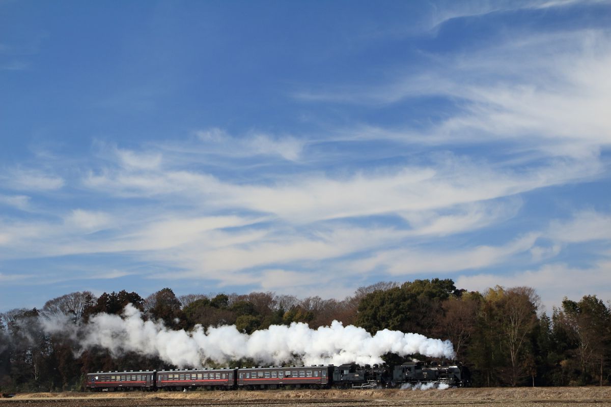 C11+C12＝重連運転 | GANREF