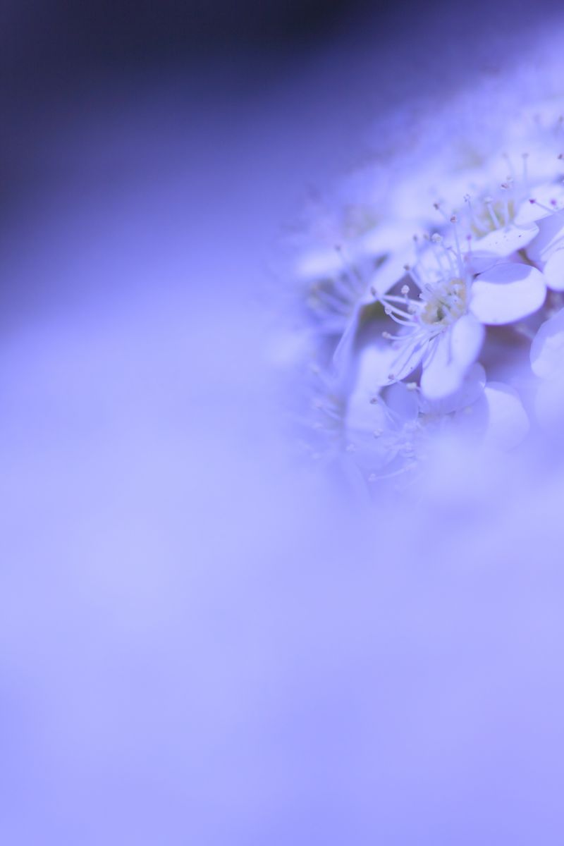 Aqua Planet | GANREF