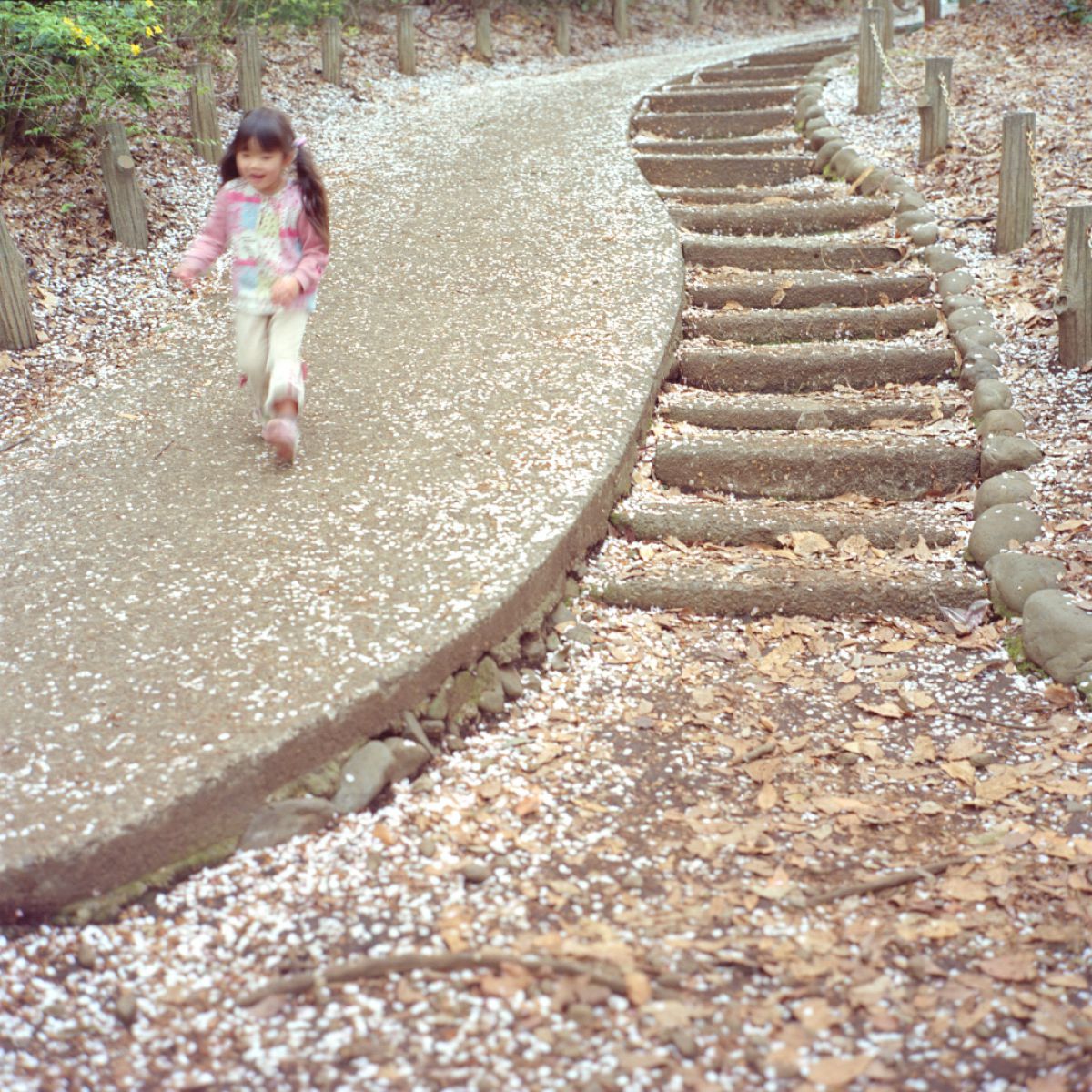 あかり #02 | GANREF