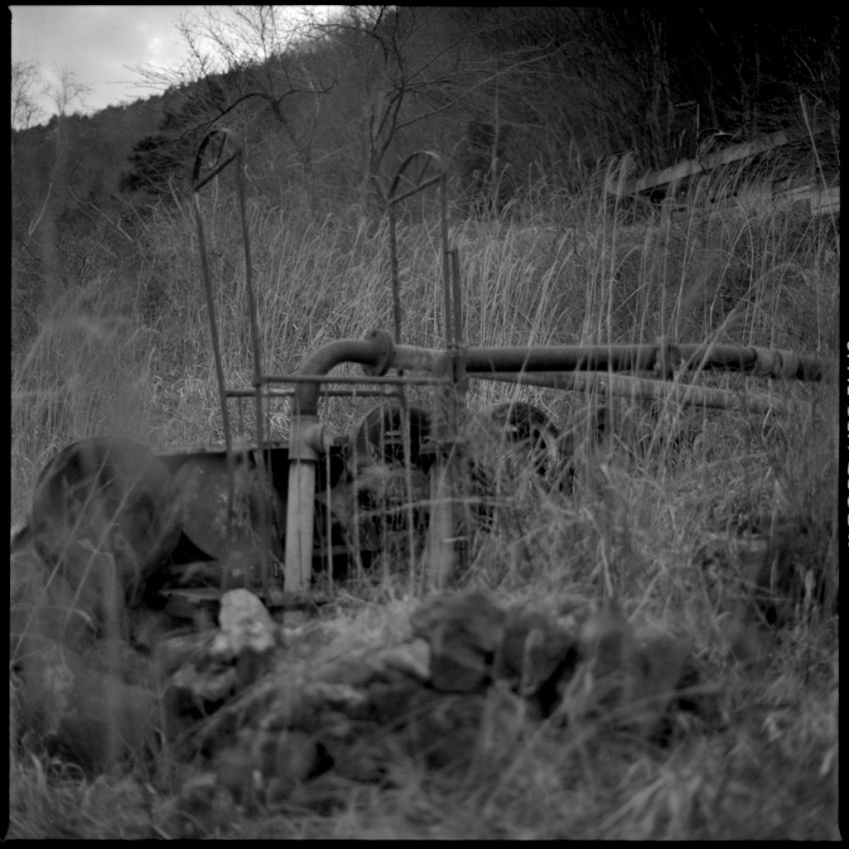 ある曇りの穏やかな週末 #24 | GANREF