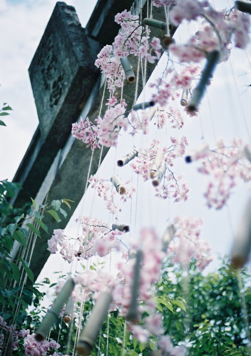 花のれん | GANREF