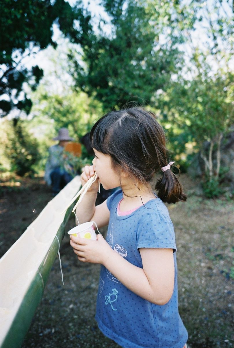 ソーメン流し苦戦中 | GANREF