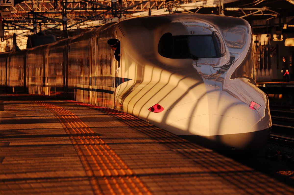 Zebra Express | GANREF