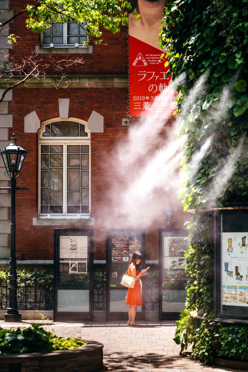 Summer Mist | GANREF