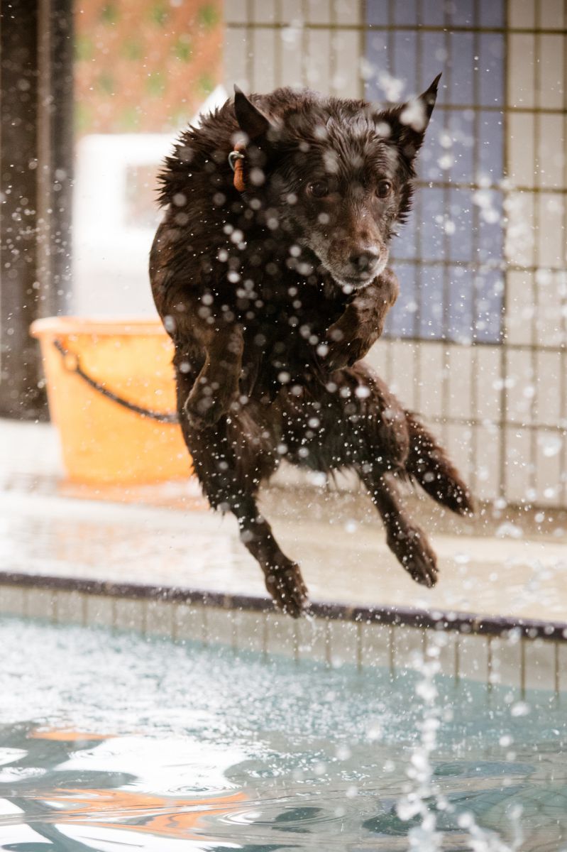 Dive!!! part3 | GANREF