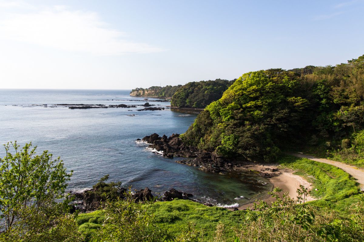 earth color | GANREF