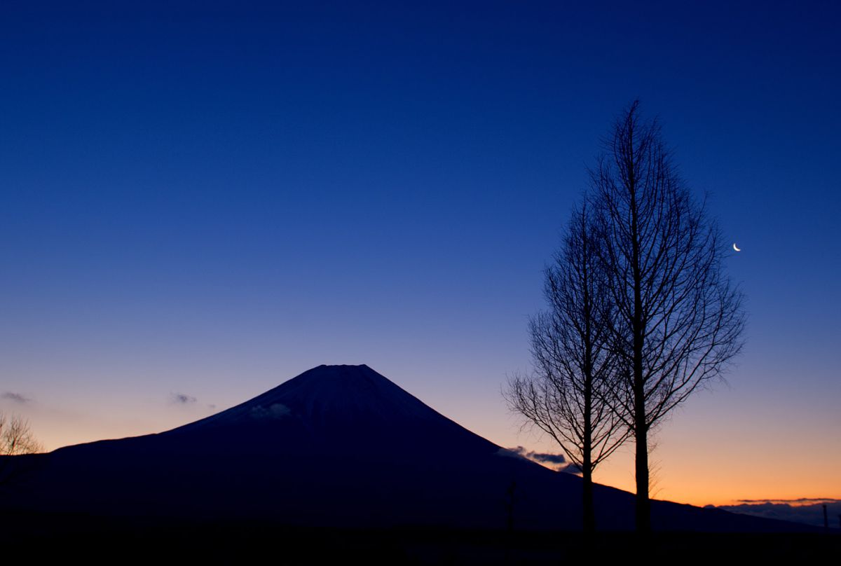 Good morning！ | GANREF