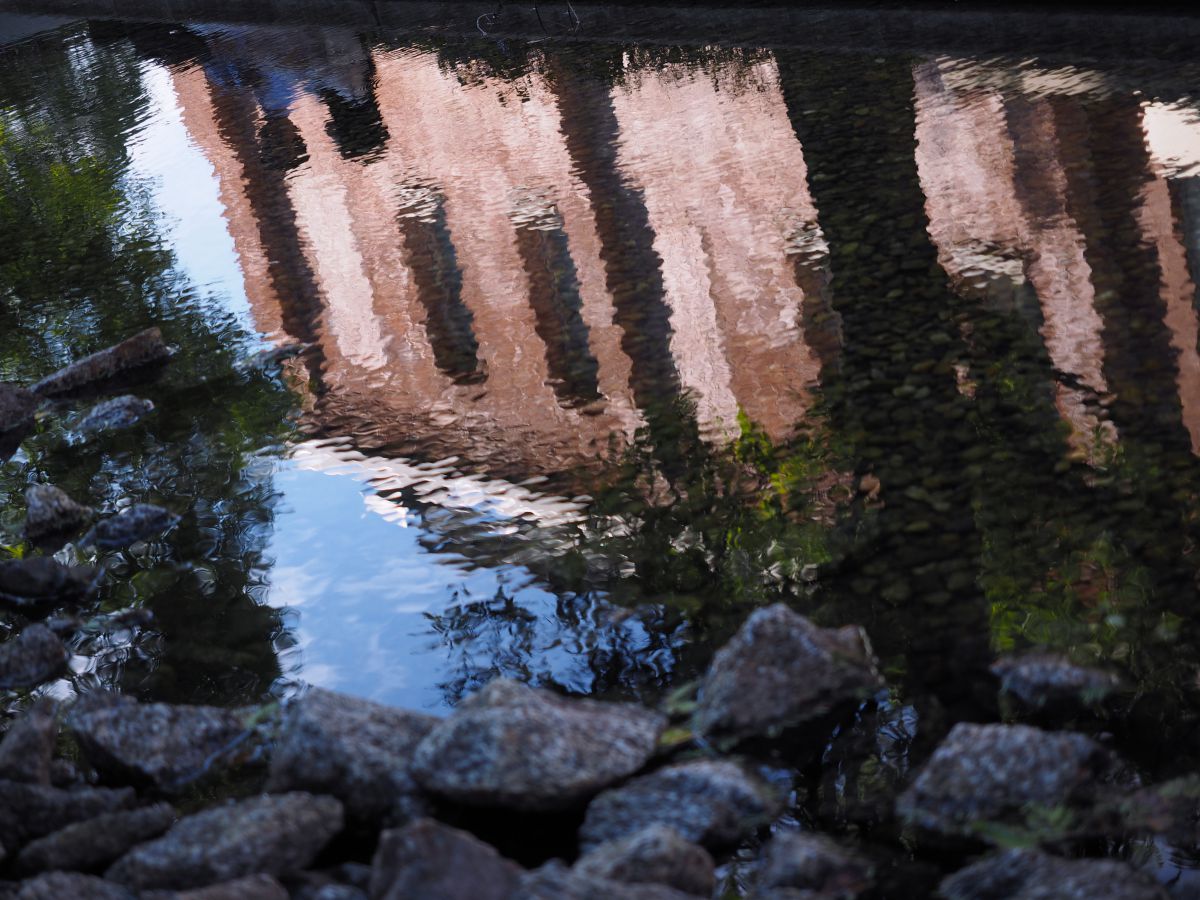 Stand by me 2 | GANREF