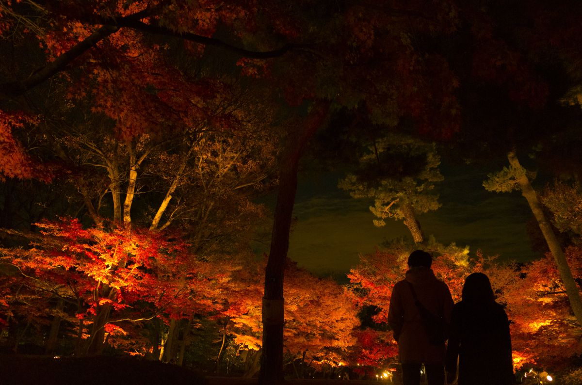 今宵のrendezvous | GANREF