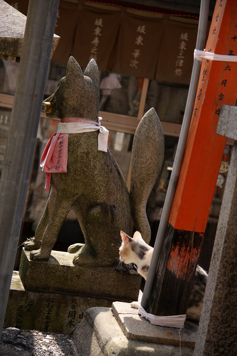 まねしてみた | GANREF