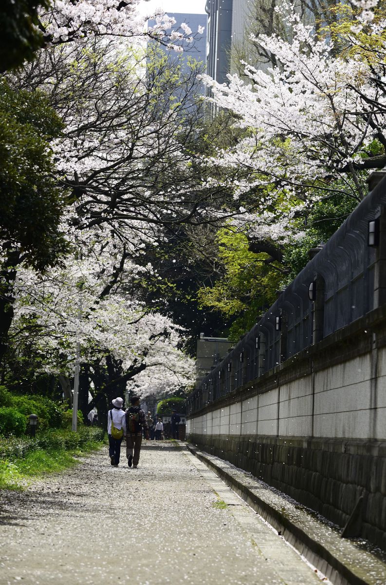 そよ風に | GANREF