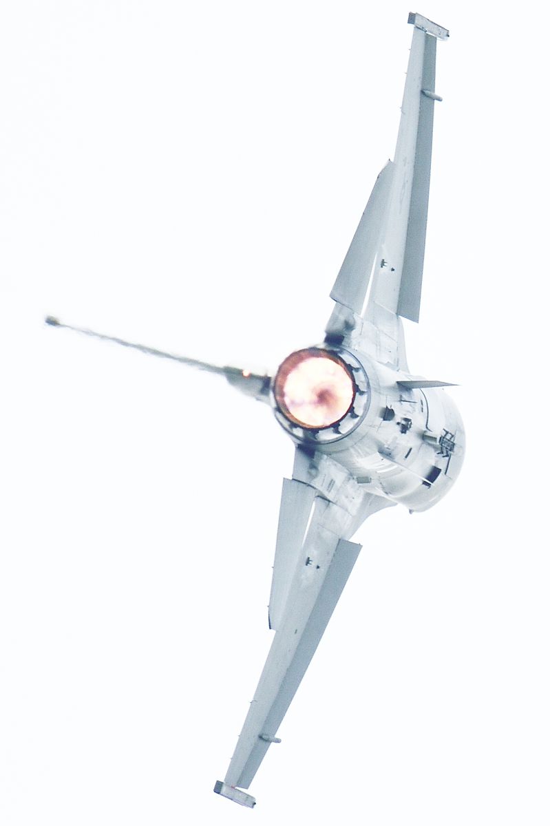 Falcon Turn | GANREF