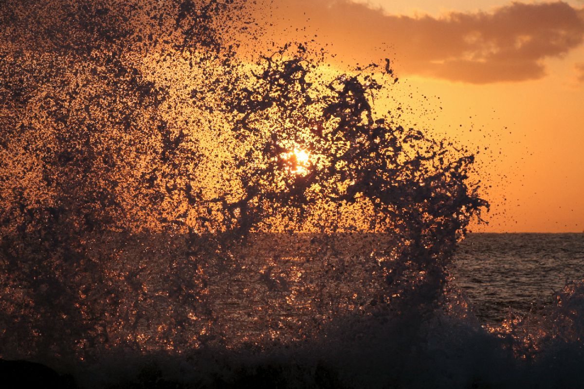 the cap of wave | GANREF