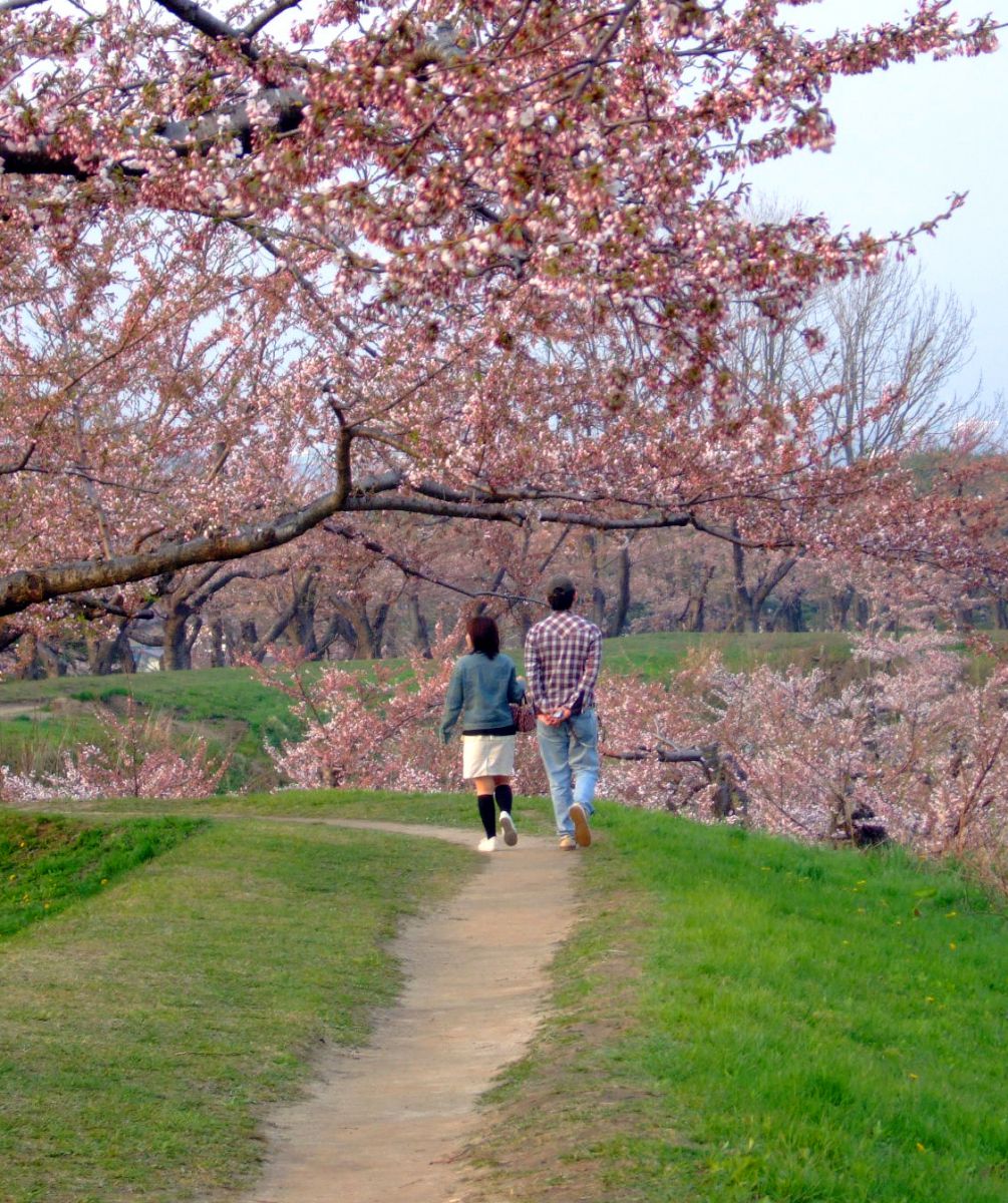 ふたり仲良く | GANREF