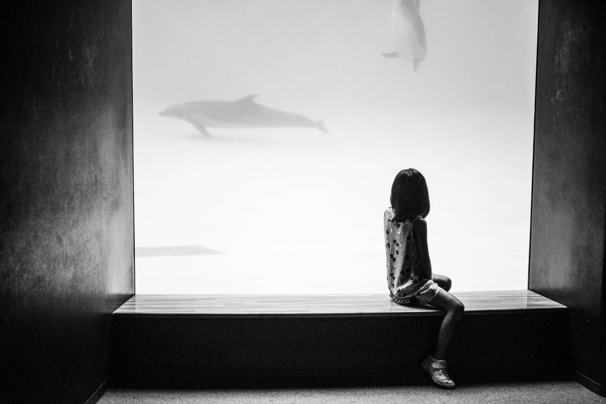 Unknown world | GANREF