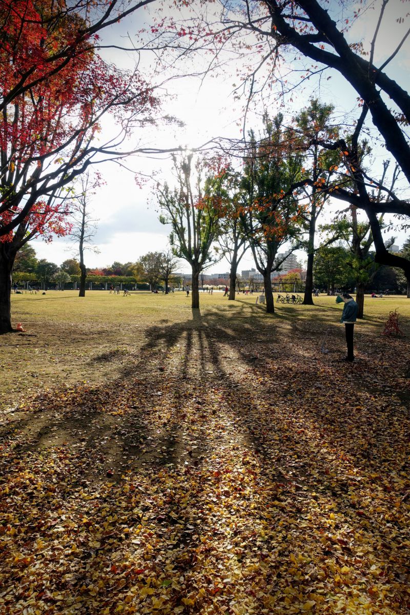 孤独のメロディー | GANREF