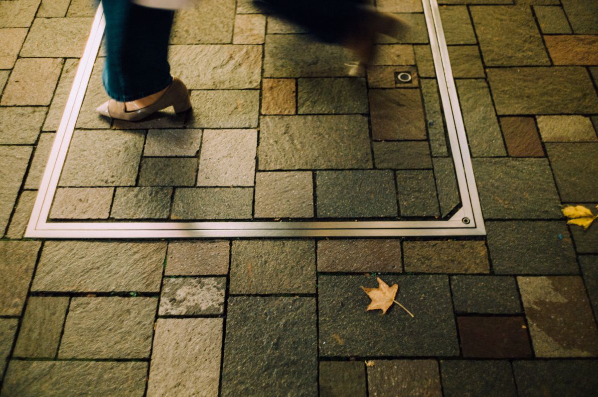 Autumn Pavement | GANREF