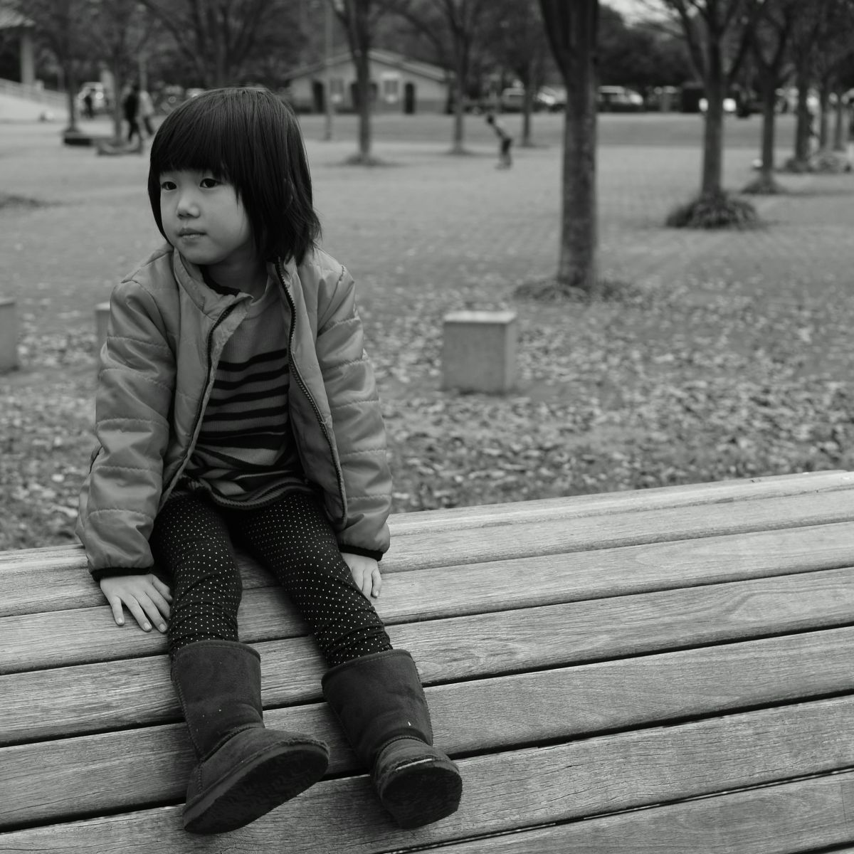 Goodbye, Autumn. | GANREF