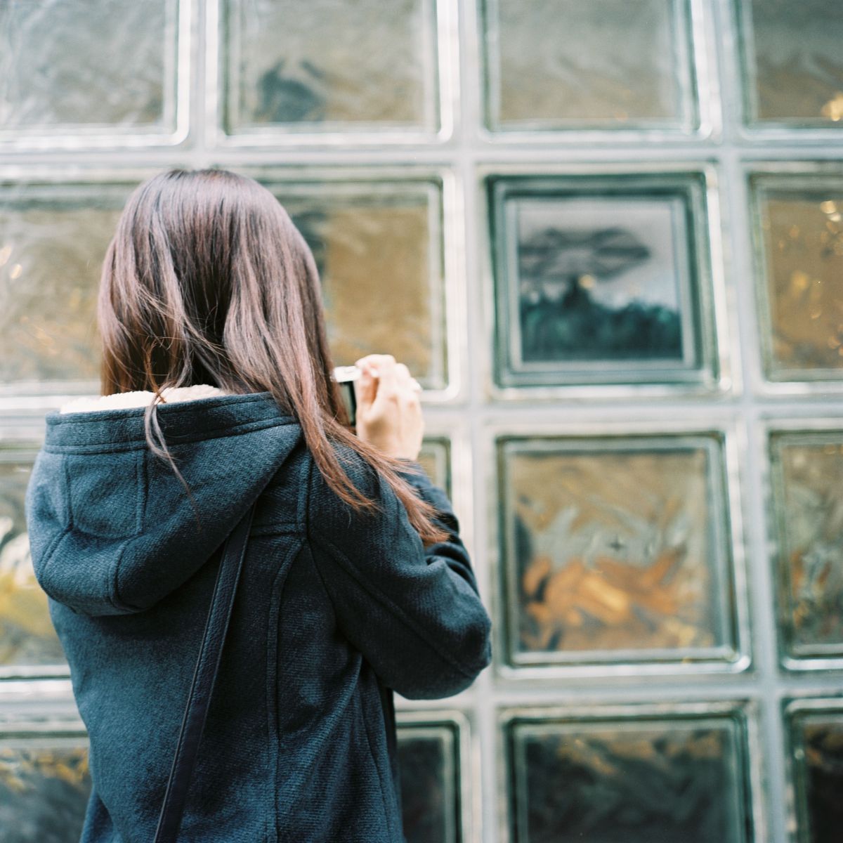 a beautiful snapper | GANREF