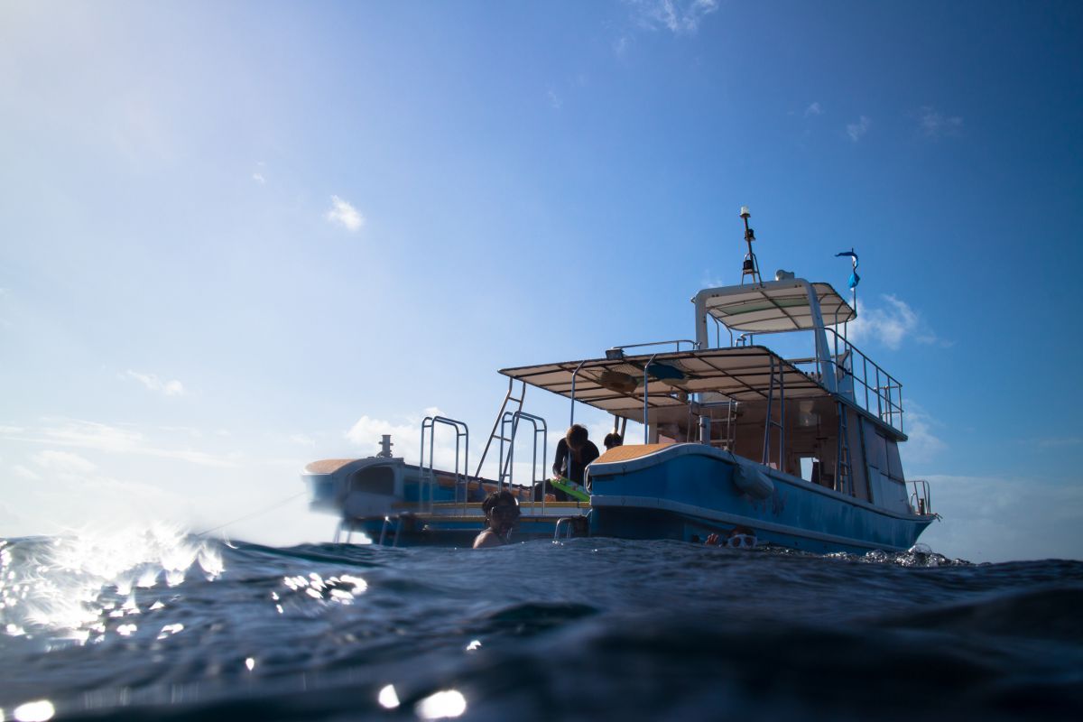 FROM THE OCEAN | GANREF