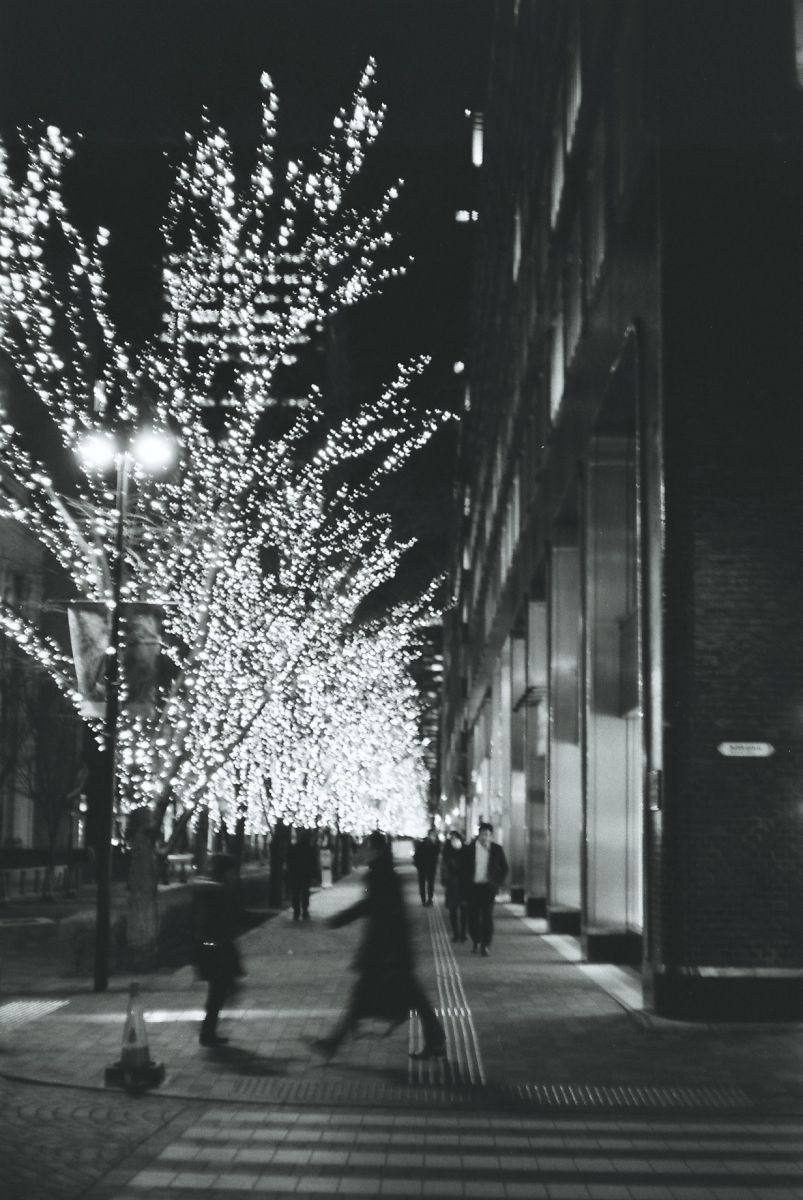 walk across | GANREF