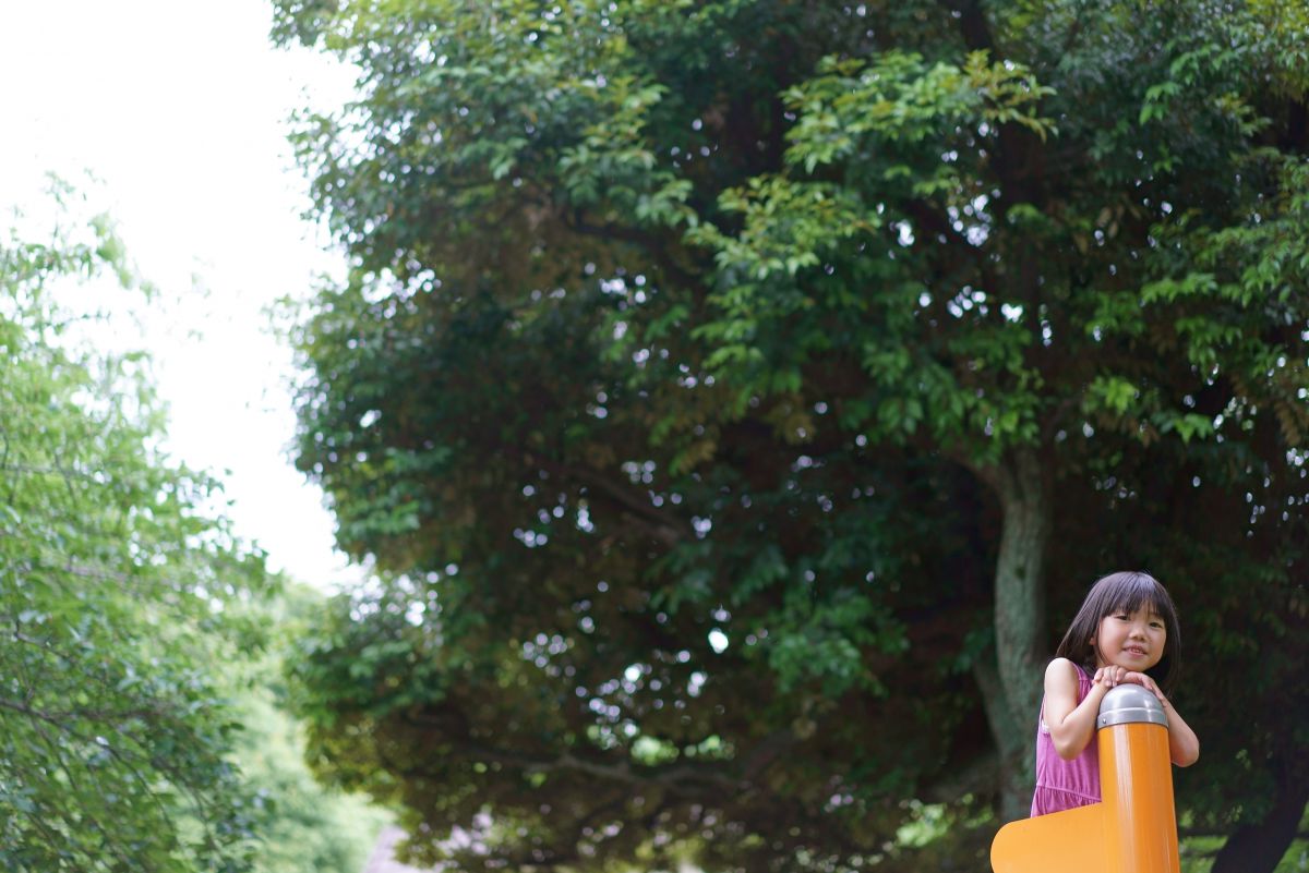 a cloudy green day | GANREF