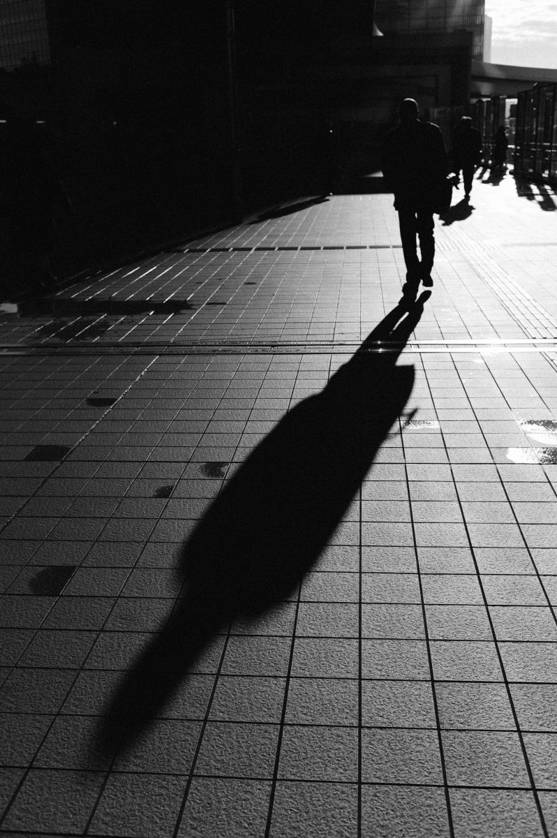 the longest shadow | GANREF